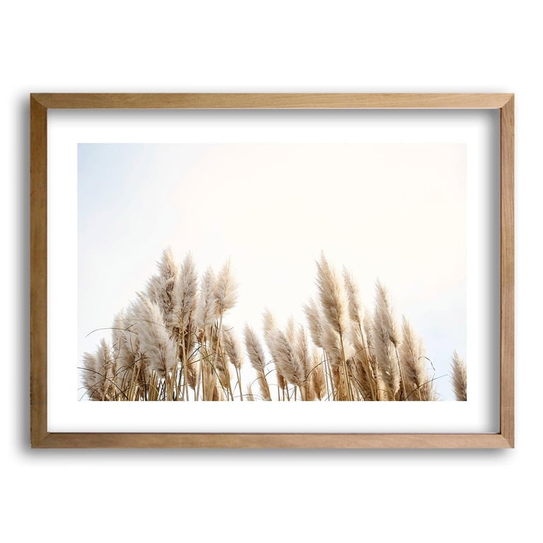 Precios Cuadro Recuerdos - Cafe | Coolebra